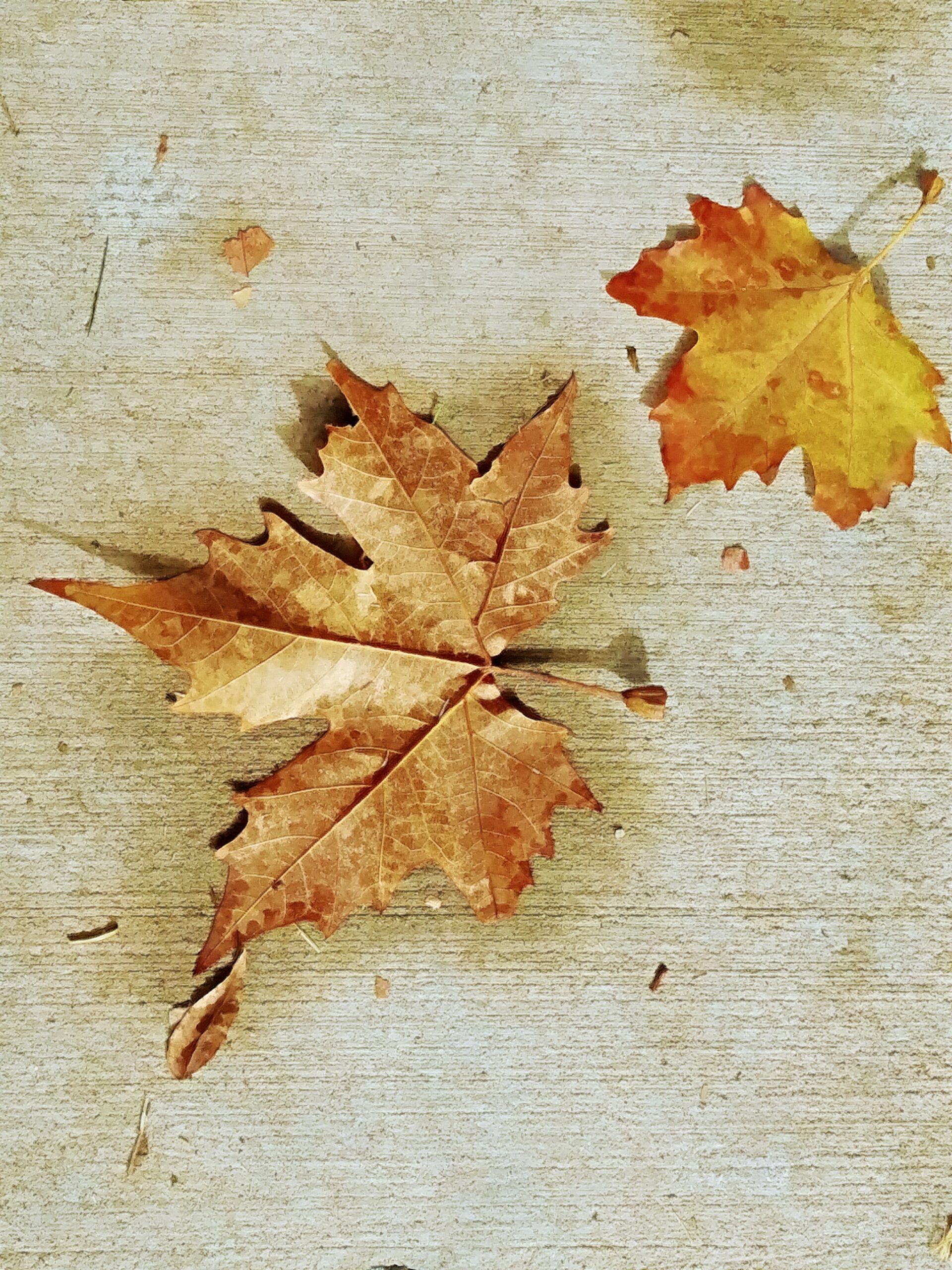 The Space Where Love Might Yet Live | Invisible City